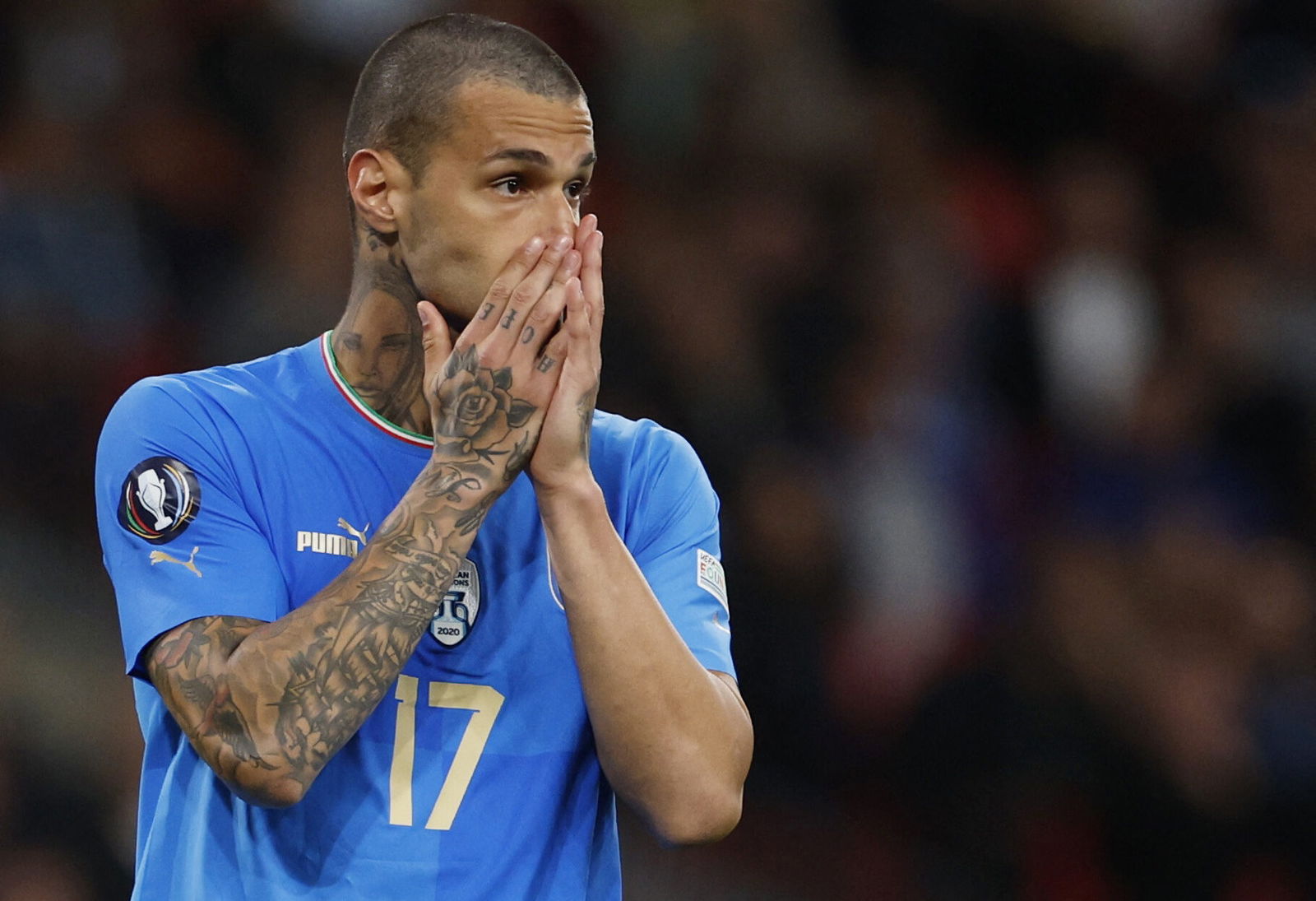 Arsenal must sign Gianluca Scamacca | Arsenal Mania